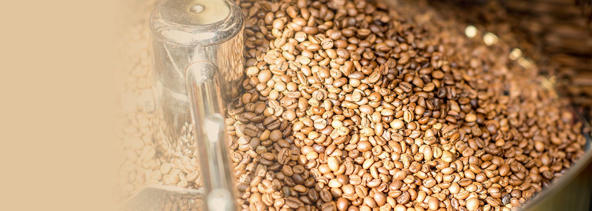 About Us – temionz