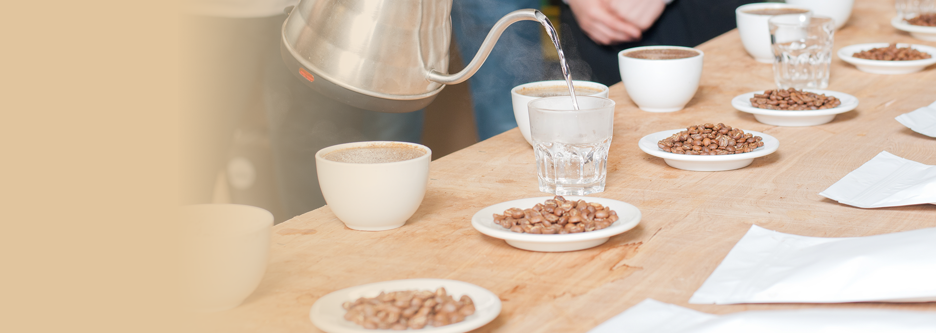 About Us – temionz